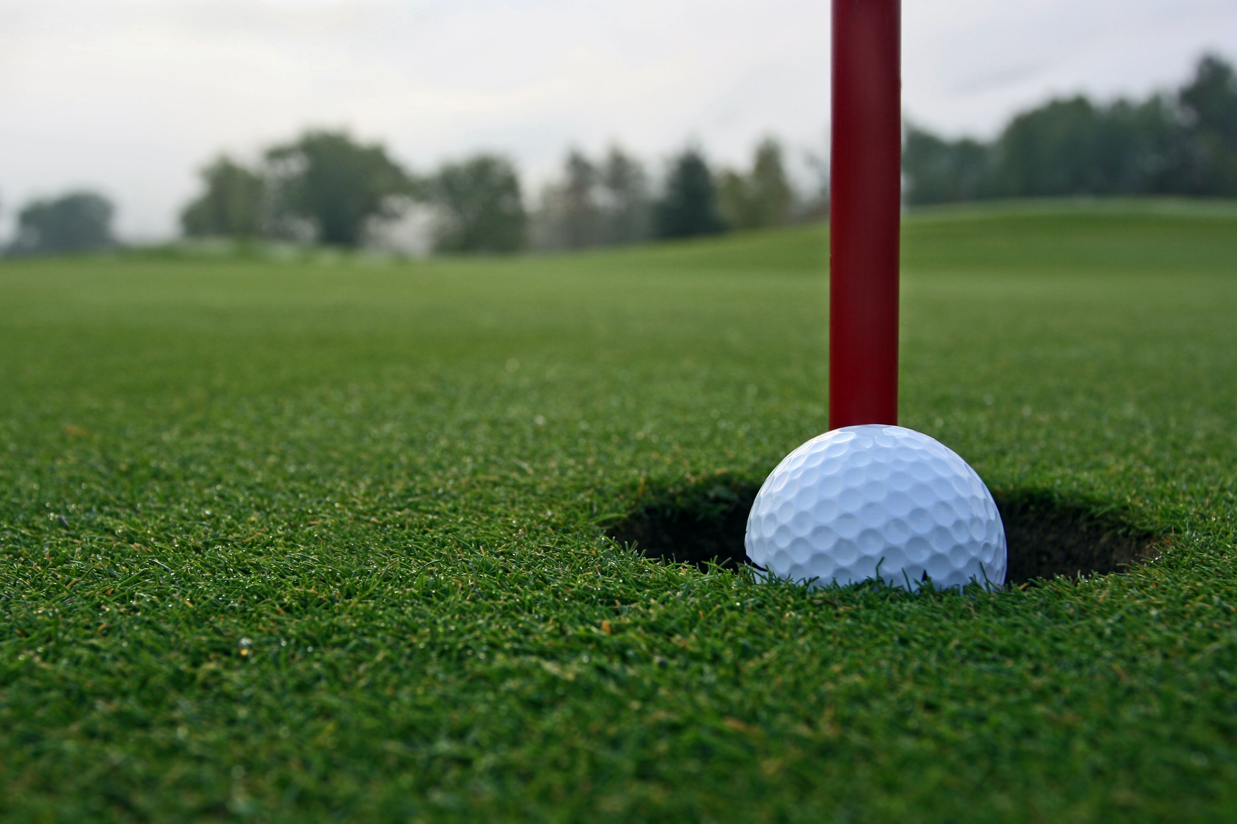 Achieving the Elusive: Making a Hole-in-One in Golf - EZ Golf League